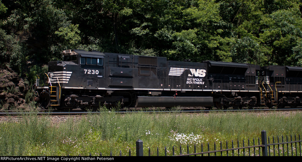 NS 7230